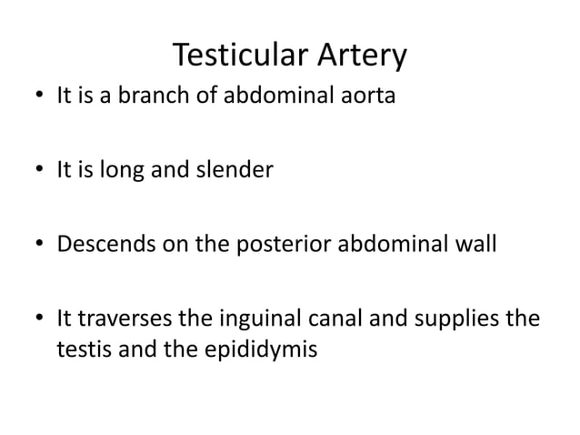 Surgical anatomy of the inguinal canal | PPTX