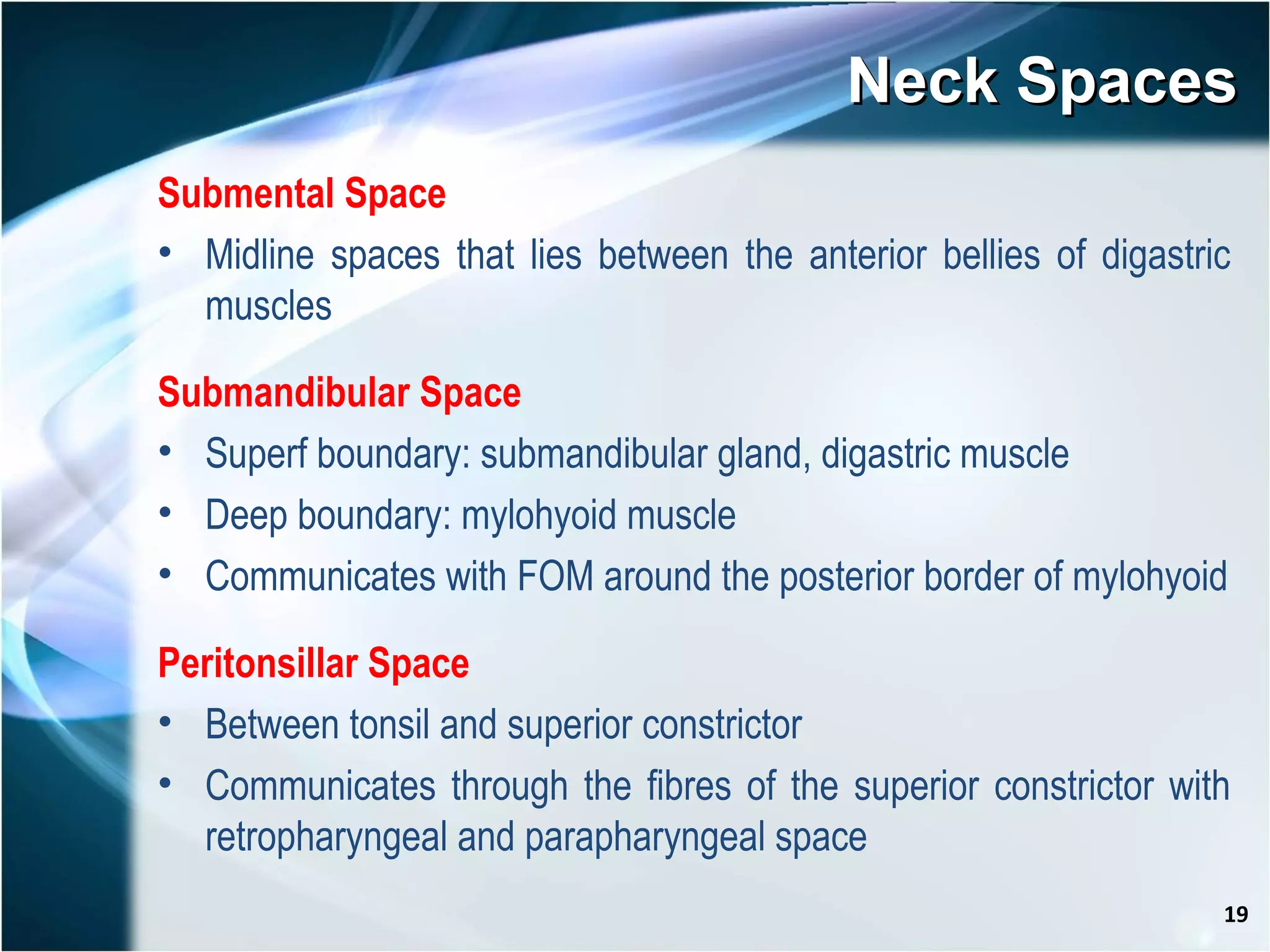 Surgical anatomy of the neck | PPT