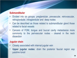 Surgical anatomy of the neck | PPT