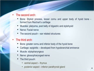 Surgical anatomy of the neck | PPT