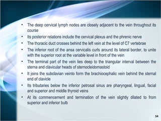 Surgical anatomy of the neck | PPT