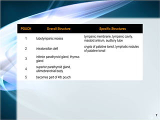 Surgical anatomy of the neck | PPT