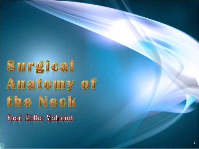 Surgical Anatomy Of The Head And Neck