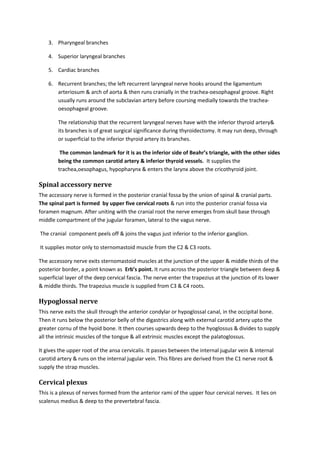 Surgical anatomy of the neck | DOC