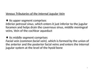 Surgical anatomy of the neck (Veins, lymph nodes and nerves of neck).pptx