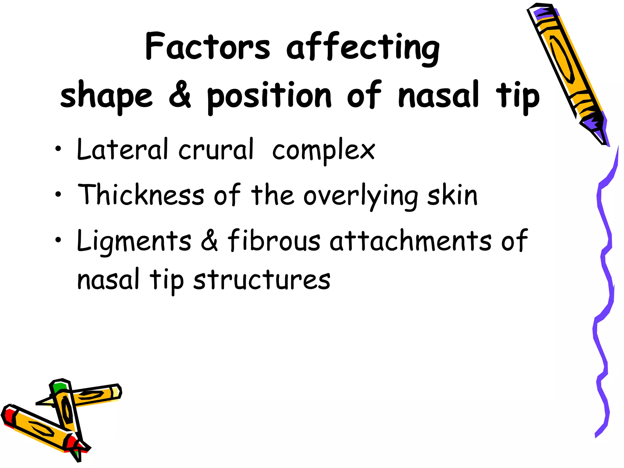 Surgical Anatomy Of The Nose | PPT