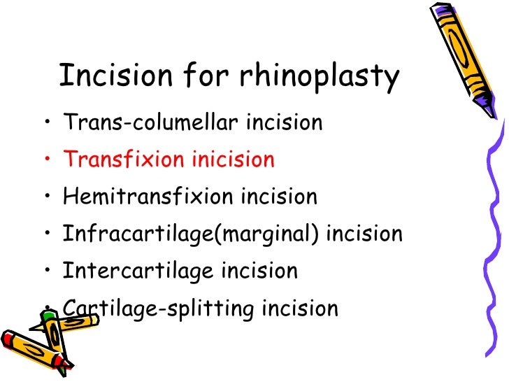 Surgical Anatomy Of The Nose