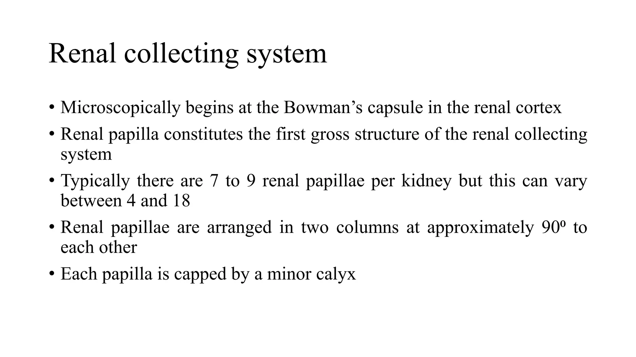 SURGICAL ANATOMY OF THE RETROPERITONEUM, ADRENALS, KIDNEYS AND URETERS.pptx