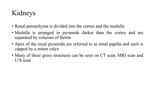 SURGICAL ANATOMY OF THE RETROPERITONEUM, ADRENALS, KIDNEYS AND URETERS.pptx