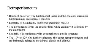 SURGICAL ANATOMY OF THE RETROPERITONEUM, ADRENALS, KIDNEYS AND URETERS.pptx