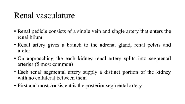 SURGICAL ANATOMY OF THE RETROPERITONEUM, ADRENALS, KIDNEYS AND URETERS.pptx