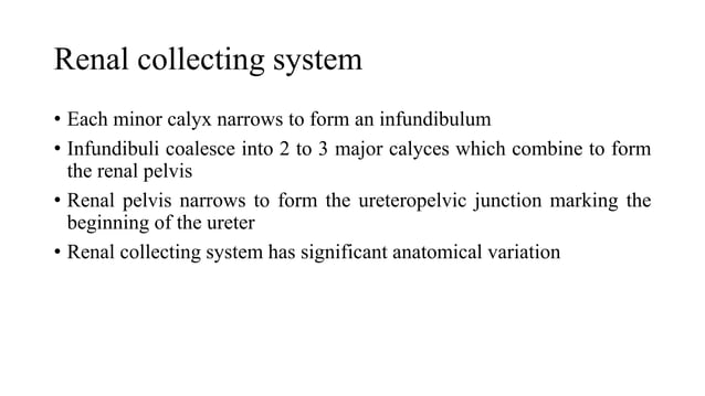 SURGICAL ANATOMY OF THE RETROPERITONEUM, ADRENALS, KIDNEYS AND URETERS.pptx
