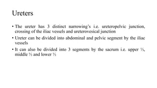 SURGICAL ANATOMY OF THE RETROPERITONEUM, ADRENALS, KIDNEYS AND URETERS.pptx