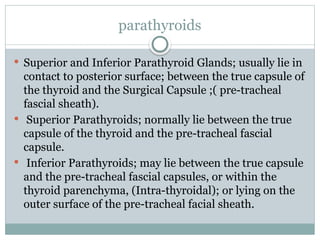 Surgical anatomy of the thyroid gland Dr NRS.pptx