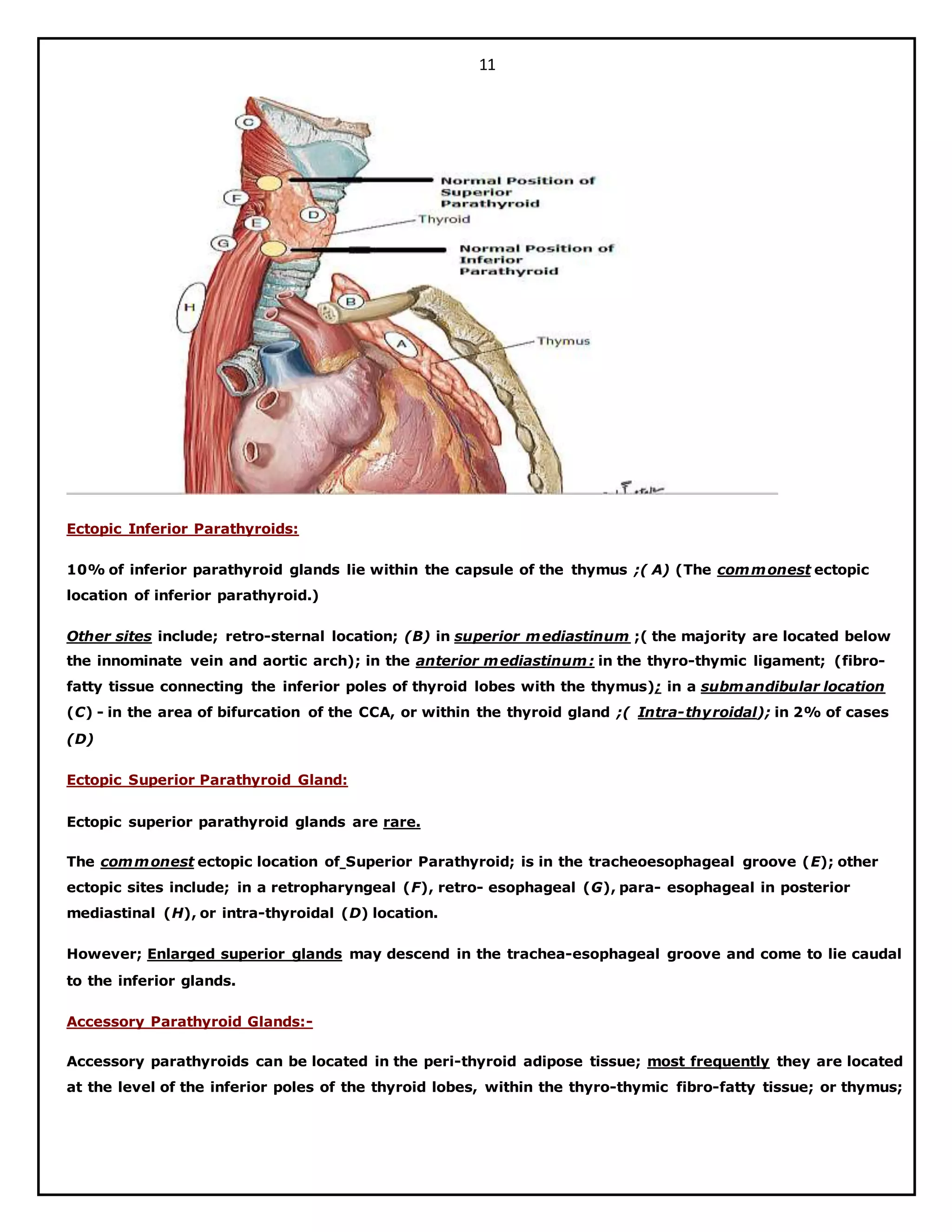 Surgical anatomy of thyroid and para thyroid glands. hazem el-folldocx ...