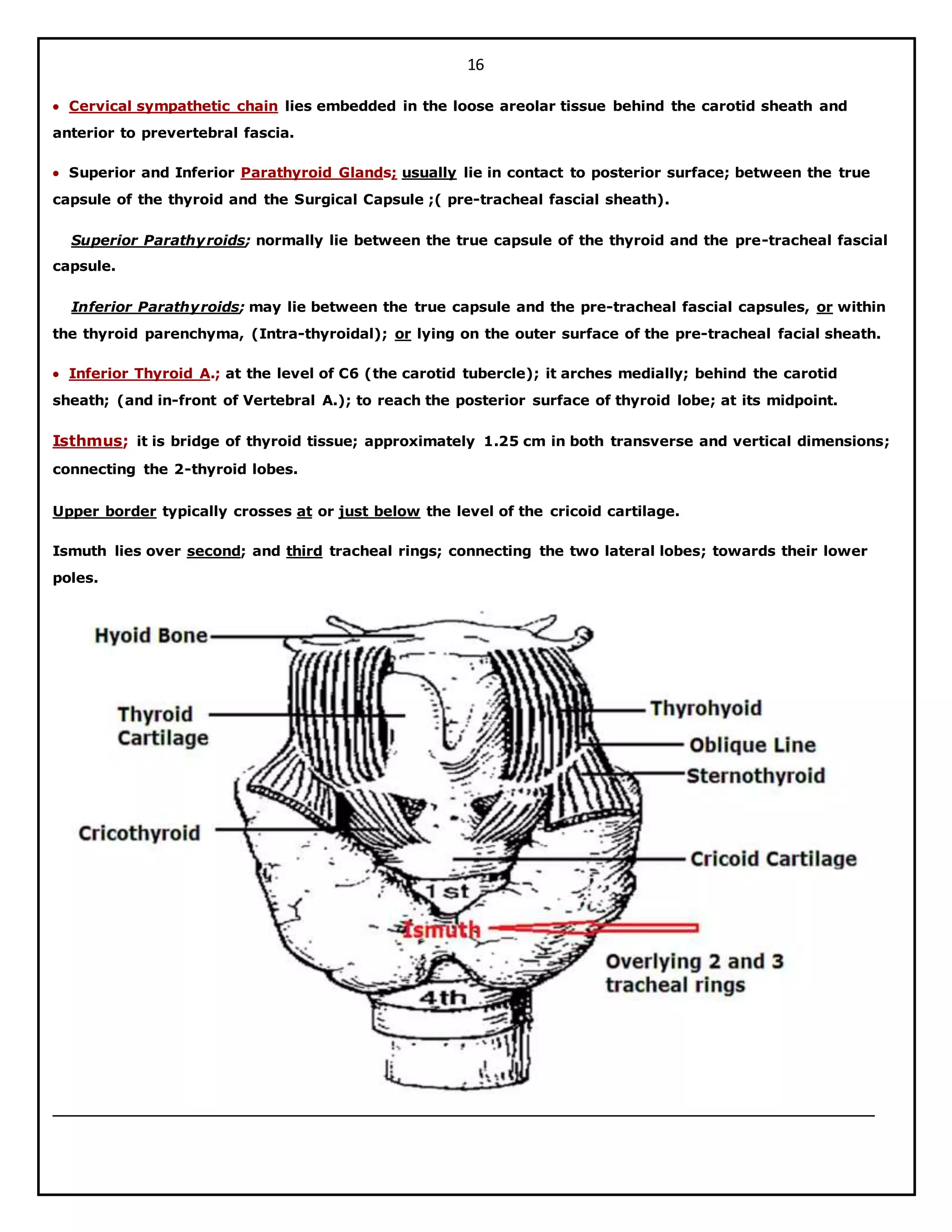 Surgical anatomy of thyroid and parathyroid glands. hazem el folldocx ...