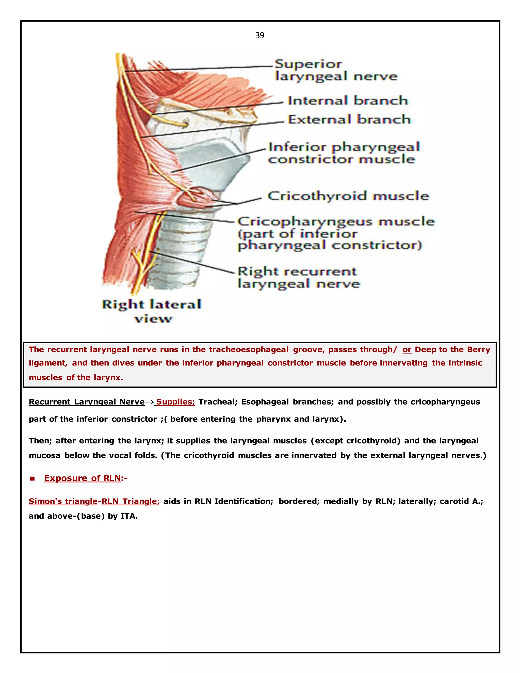 Surgical anatomy of thyroid and parathyroid glands. hazem el folldocx ...