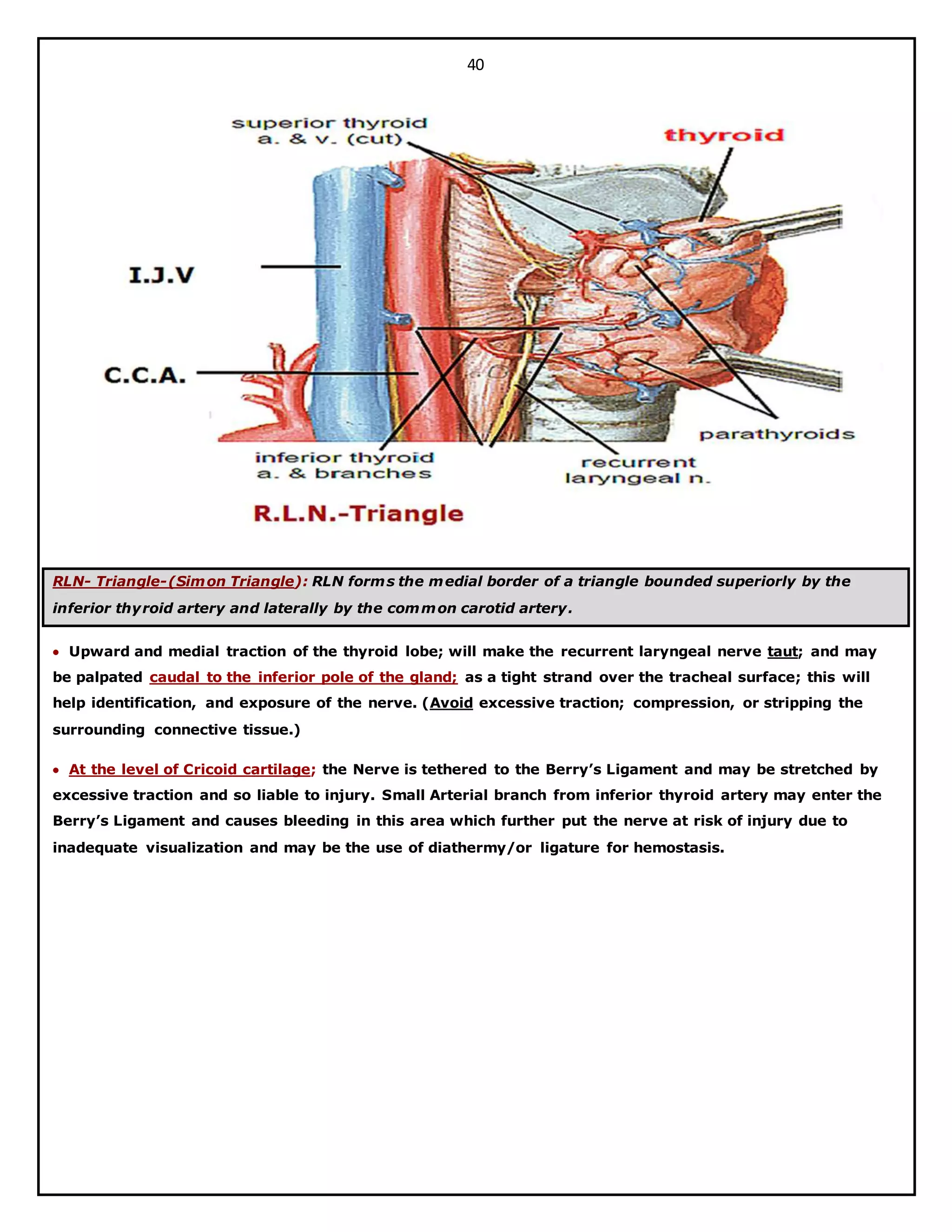 Surgical anatomy of thyroid and parathyroid glands. hazem el folldocx ...