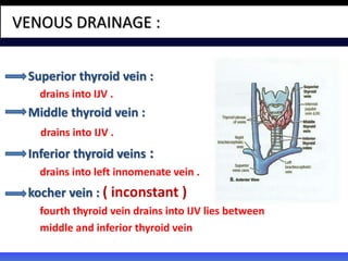 Surgical anatomy of thyroid gland | PPTX