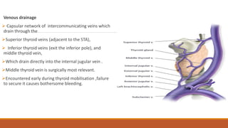 Surgical anatomy of thyroid, tumours & complications | PPTX