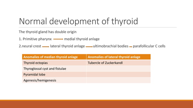 Surgical anatomy of thyroid, tumours & complications | PPTX | Thyroid Disorders | Endocrine and ...