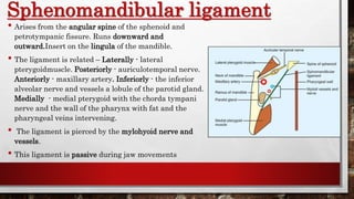 Surgical anatomy of tmj | PPTX