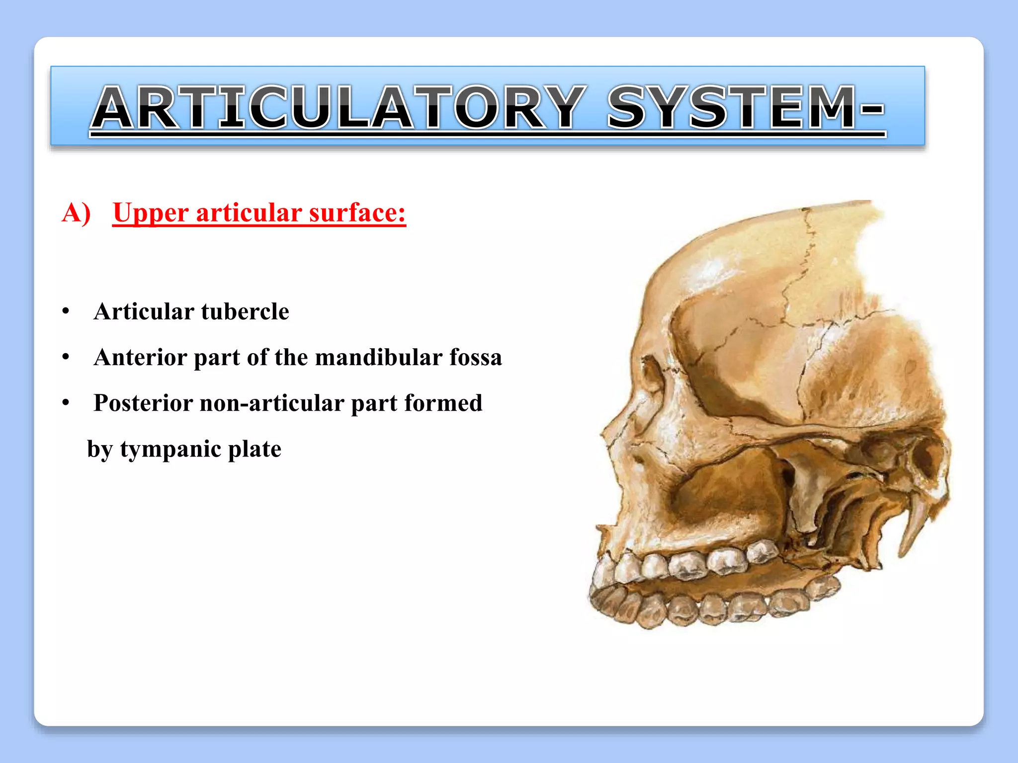 Surgical anatomy of TMJ | PPTX