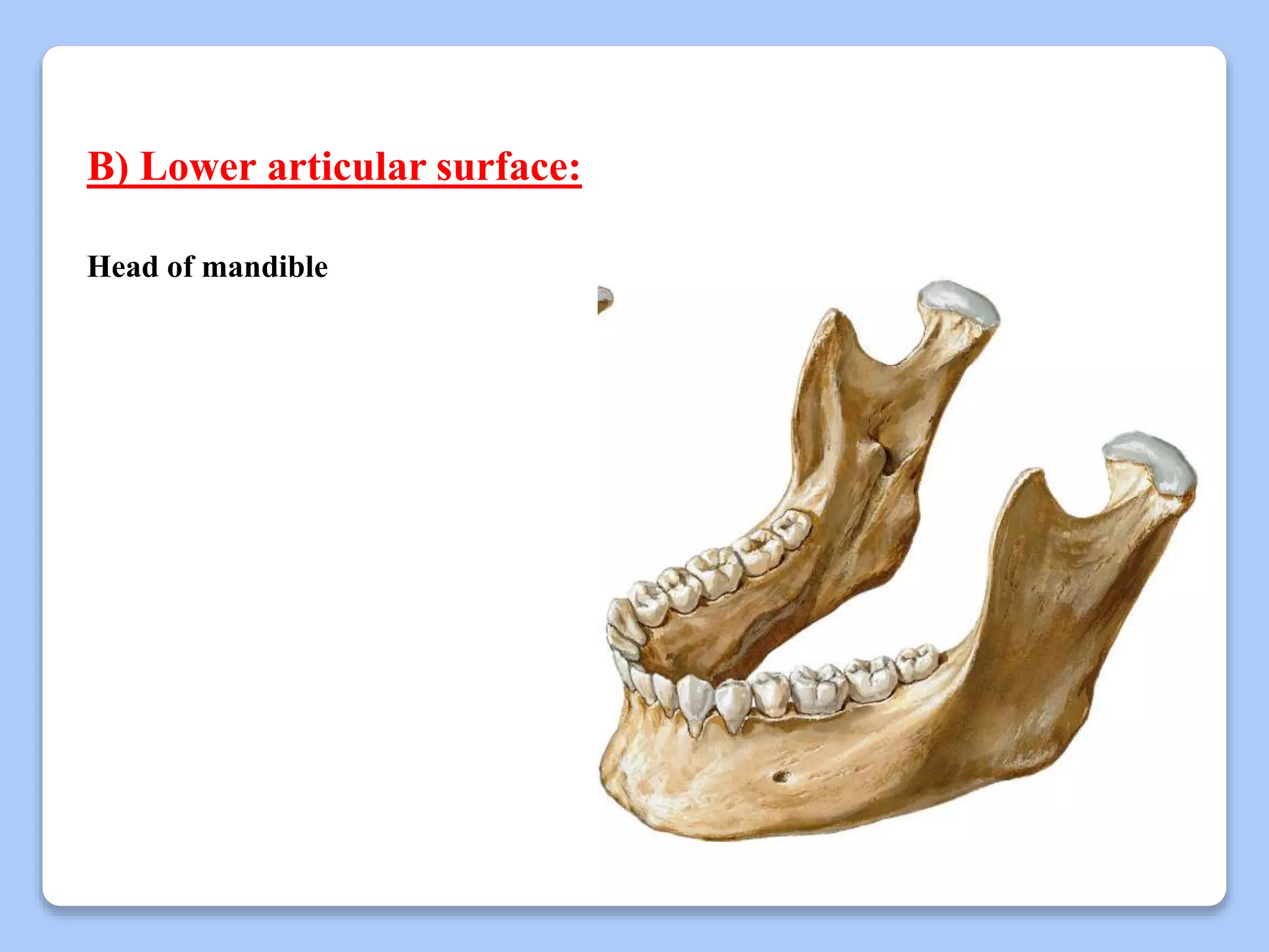 Surgical anatomy of TMJ | PPTX