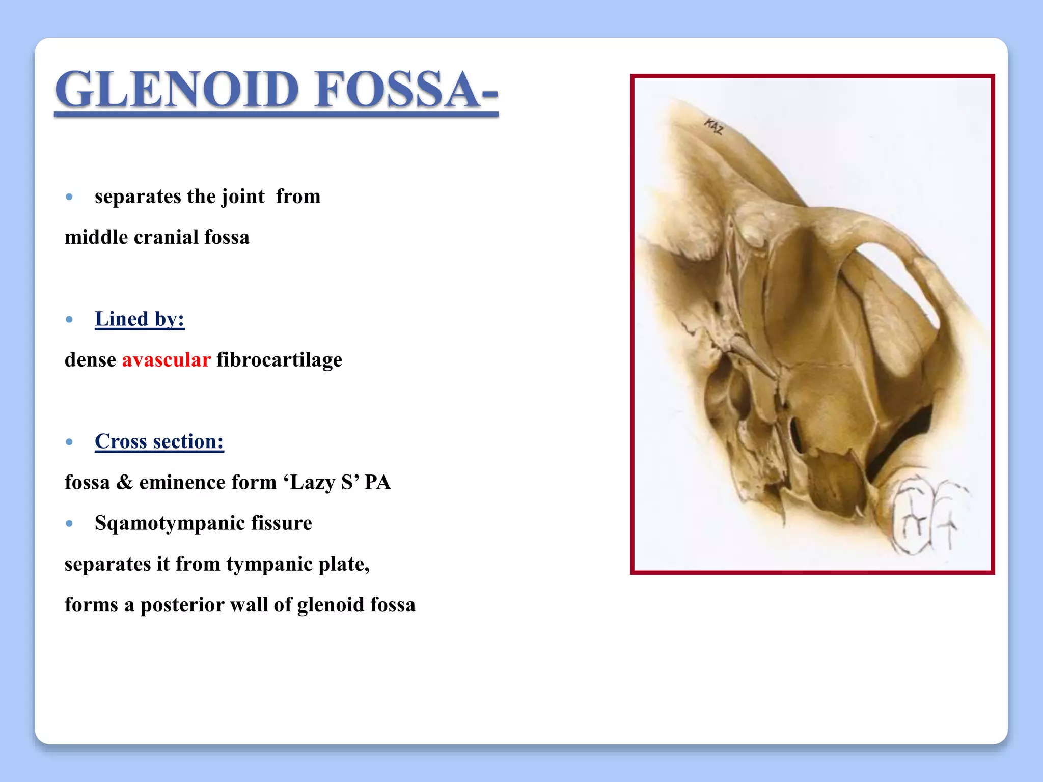 Surgical anatomy of TMJ | PPTX