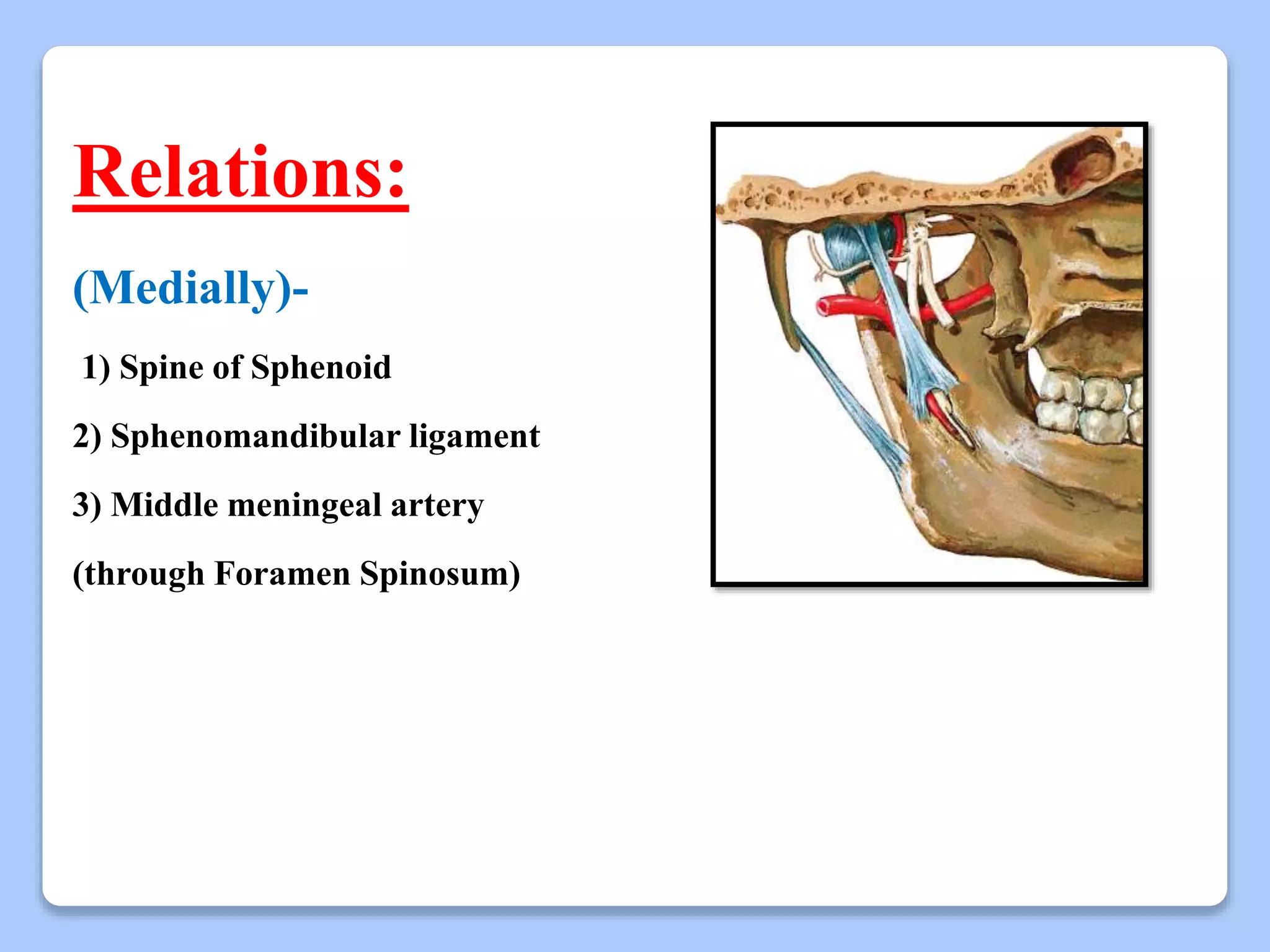 Surgical anatomy of TMJ | PPTX