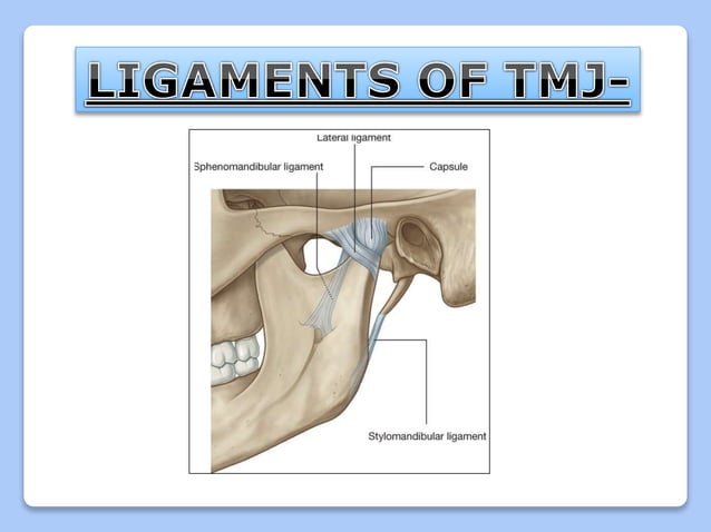 Surgical anatomy of TMJ | PPTX | Death, Injury, or Military Conflict ...
