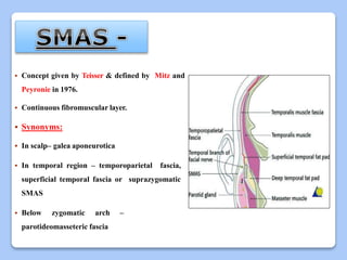 Surgical anatomy of TMJ | PPTX | Death, Injury, or Military Conflict ...