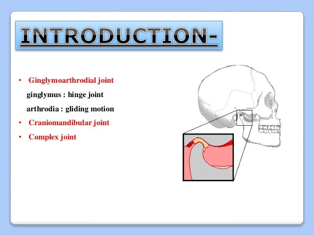 Surgical anatomy of TMJ