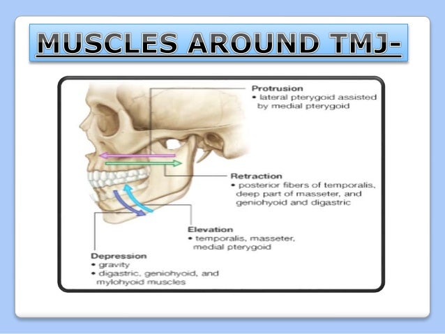 Surgical anatomy of TMJ