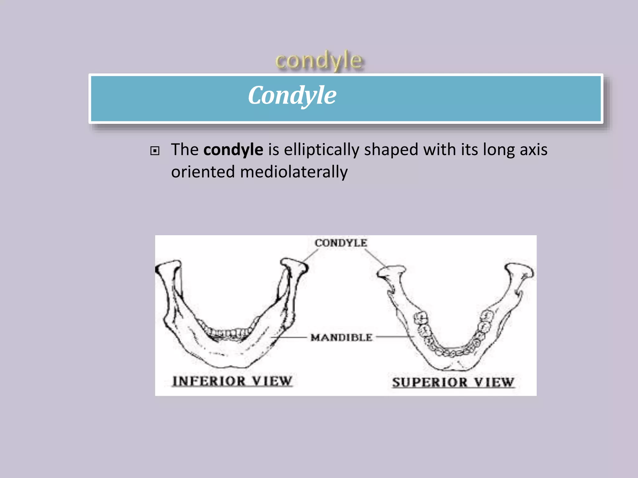 Surgical anatomy of temporomandibular joint | PPTX