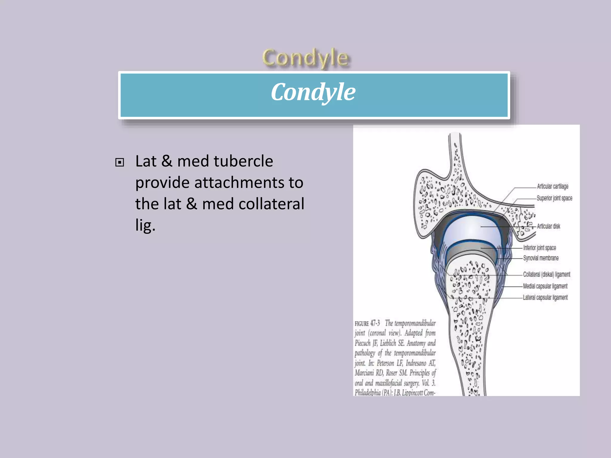 Surgical anatomy of temporomandibular joint | PPTX