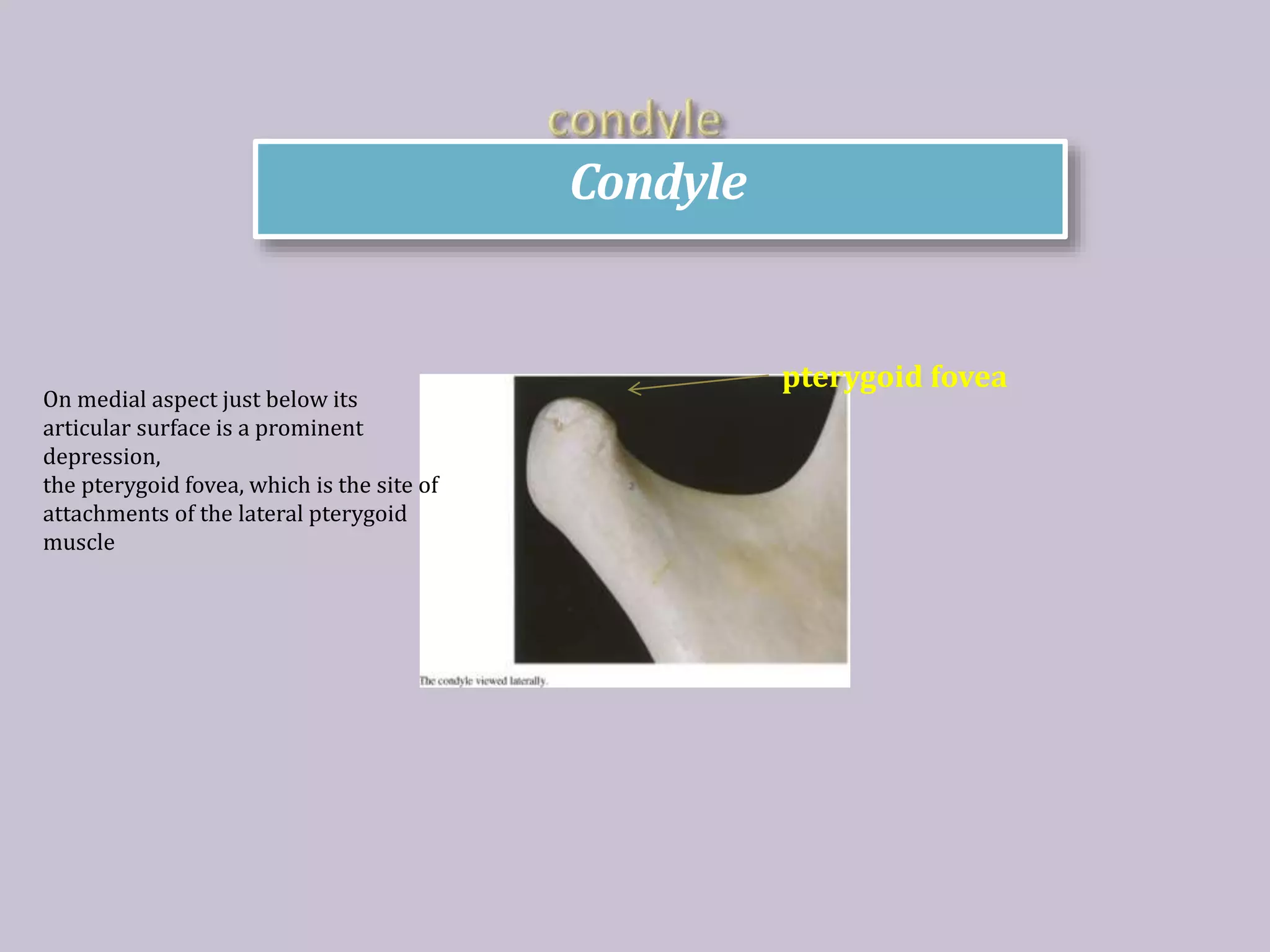 Surgical anatomy of temporomandibular joint | PPTX