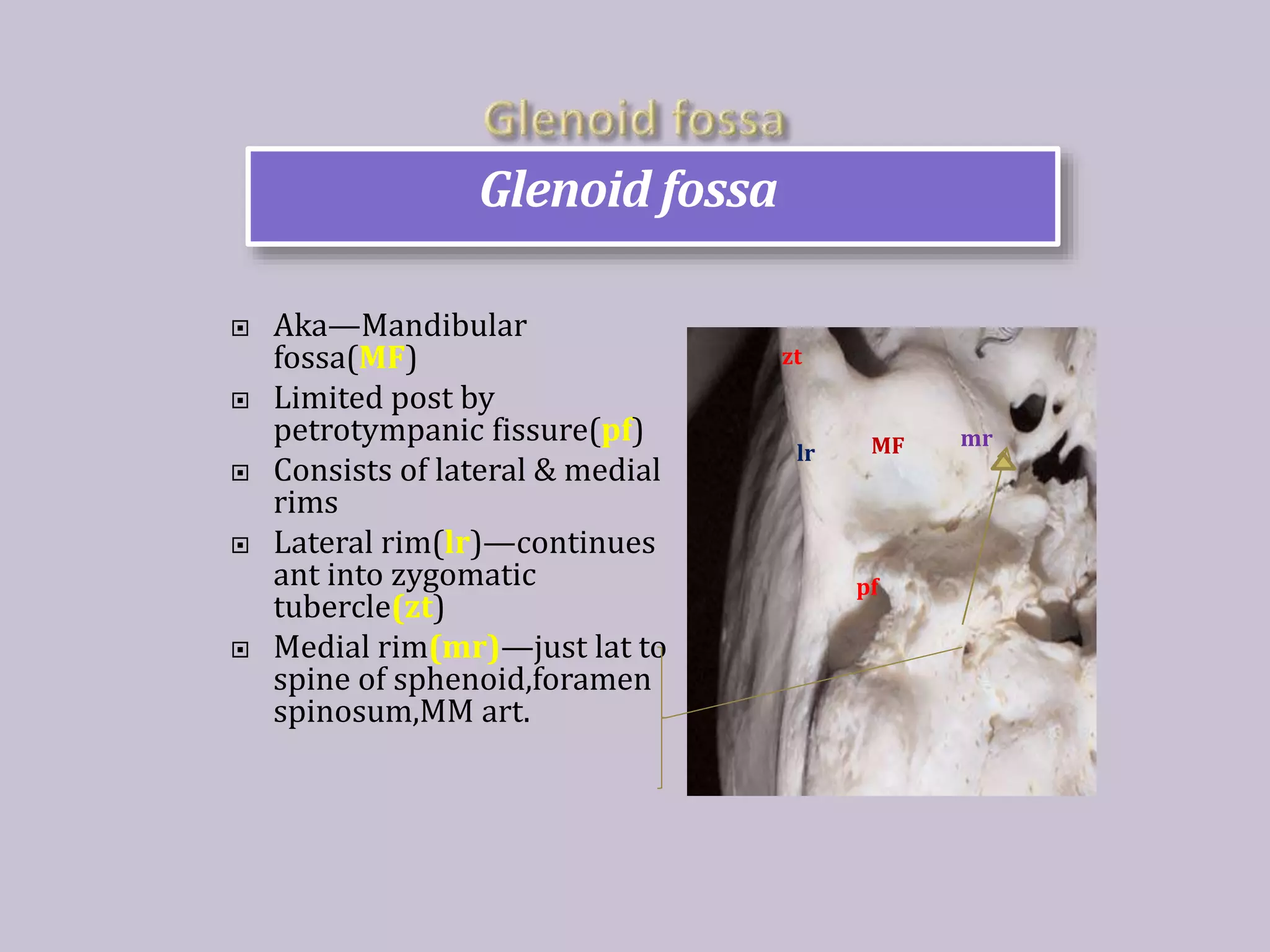 Surgical anatomy of temporomandibular joint | PPTX