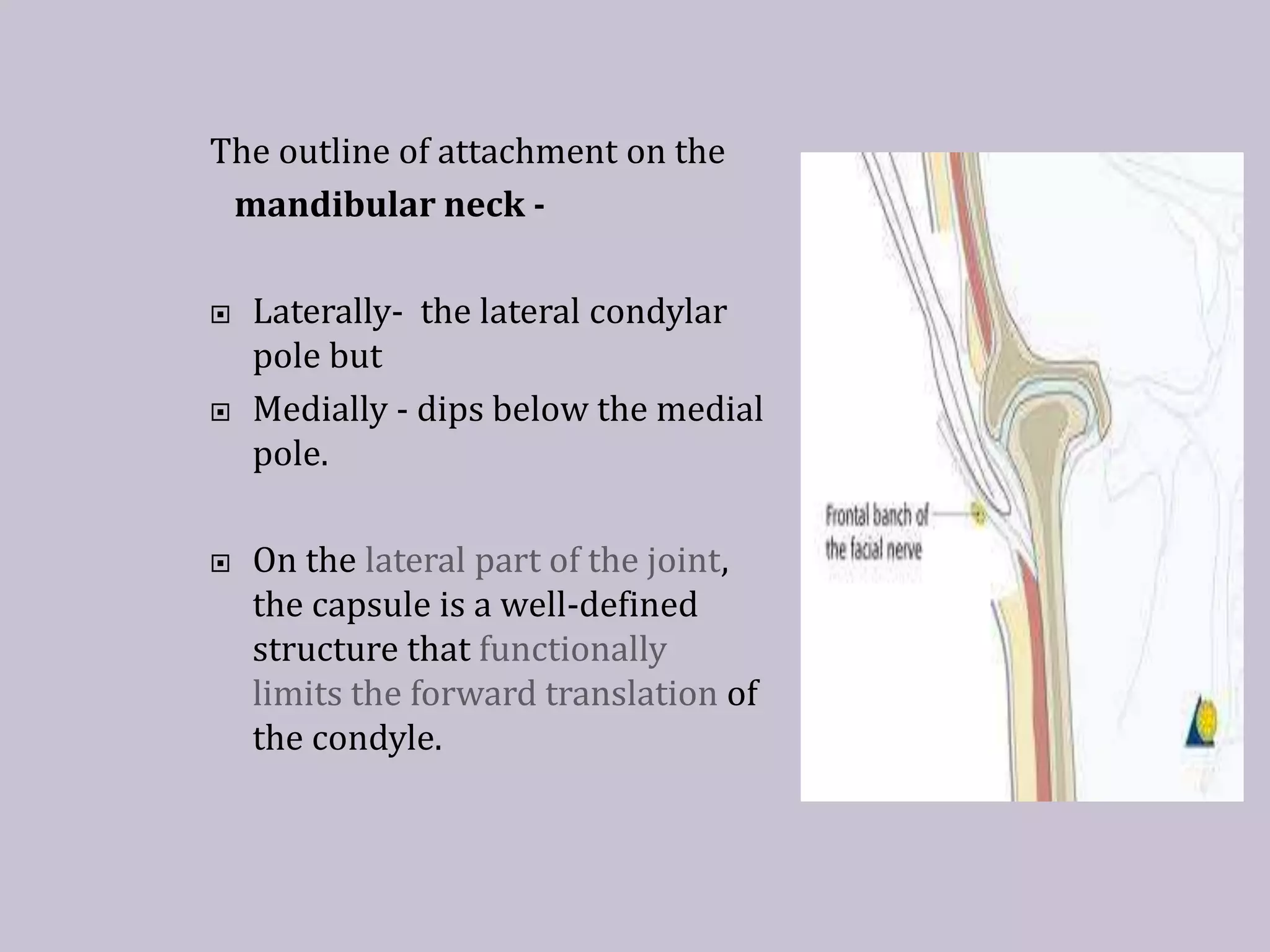 Surgical anatomy of temporomandibular joint | PPTX