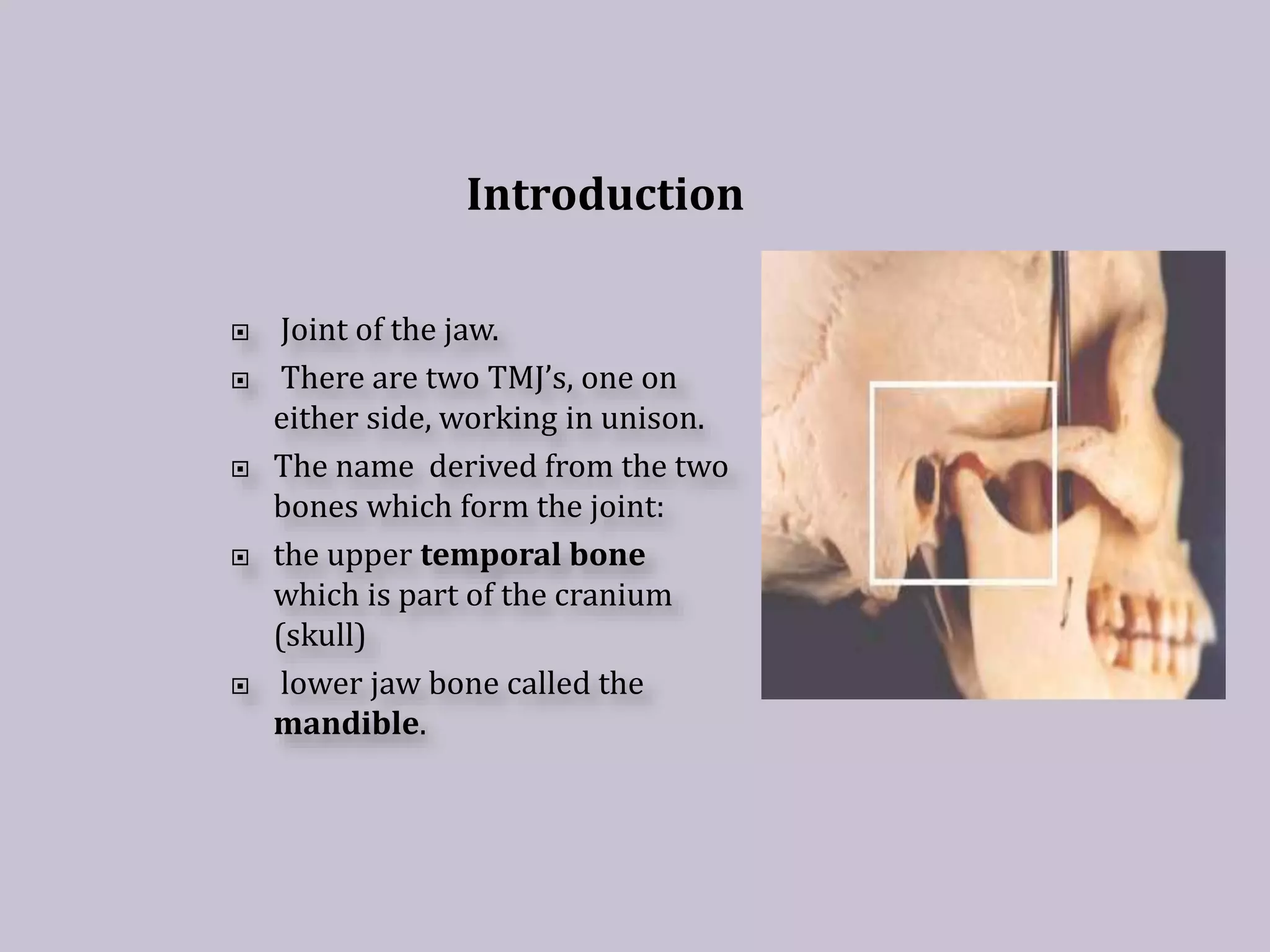 Surgical anatomy of temporomandibular joint | PPTX | Bone and Joint Conditions | Diseases and ...