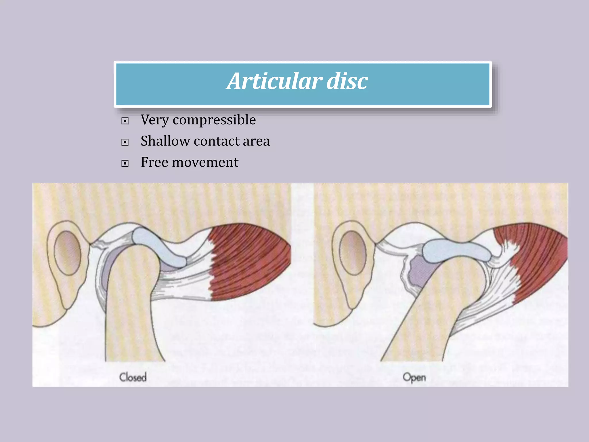 Surgical anatomy of temporomandibular joint | PPTX