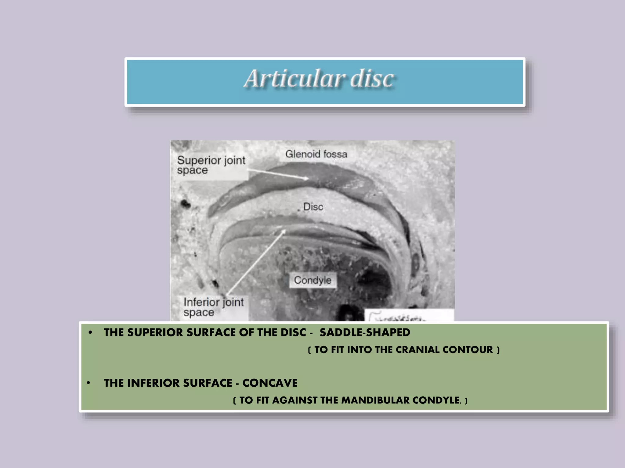 Surgical anatomy of temporomandibular joint | PPTX