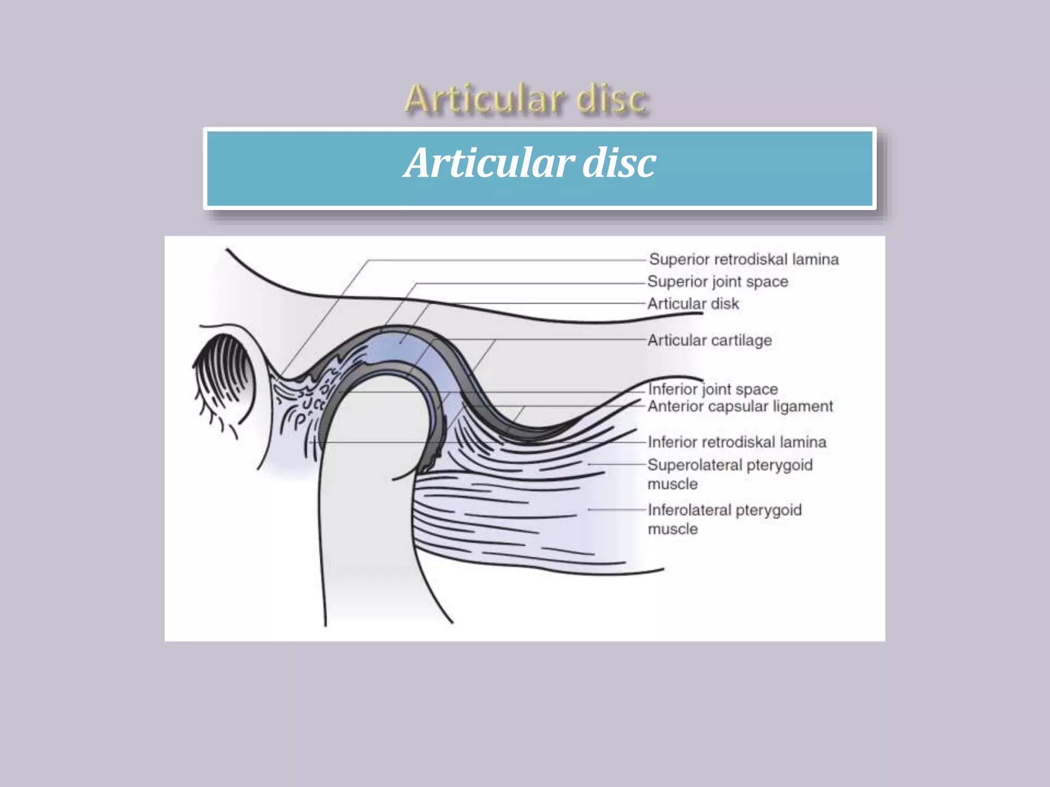Surgical anatomy of temporomandibular joint | PPTX