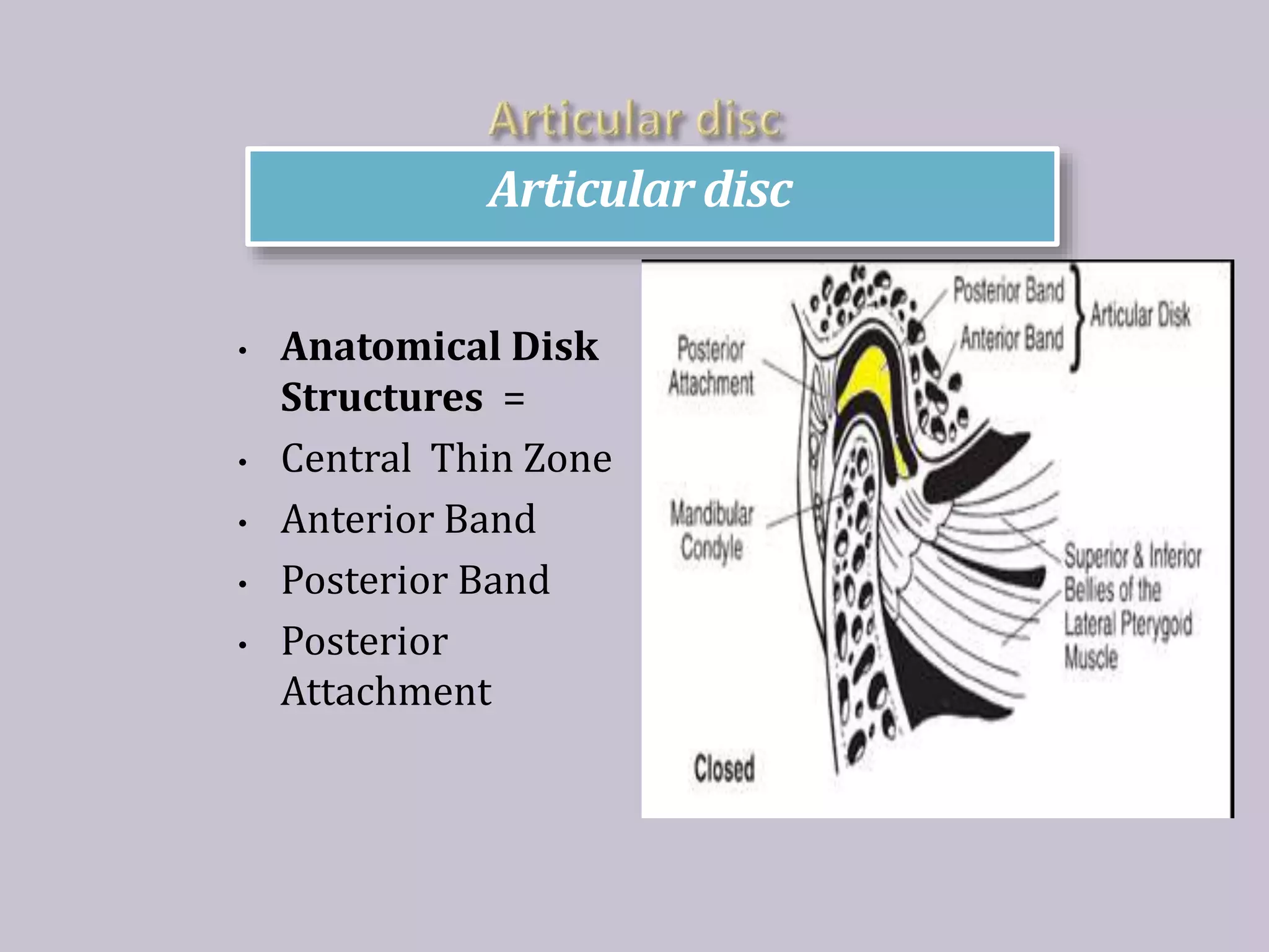 Surgical anatomy of temporomandibular joint | PPTX