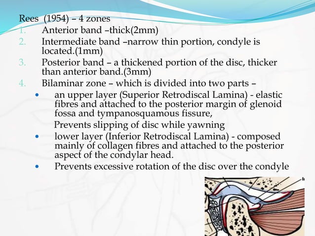 Surgical anatomy of tmj & its approaches | PPT | Bone and Joint ...