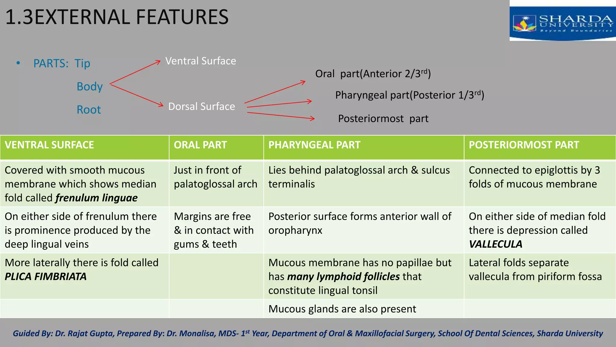 Surgical Anatomy of Tongue.pptx