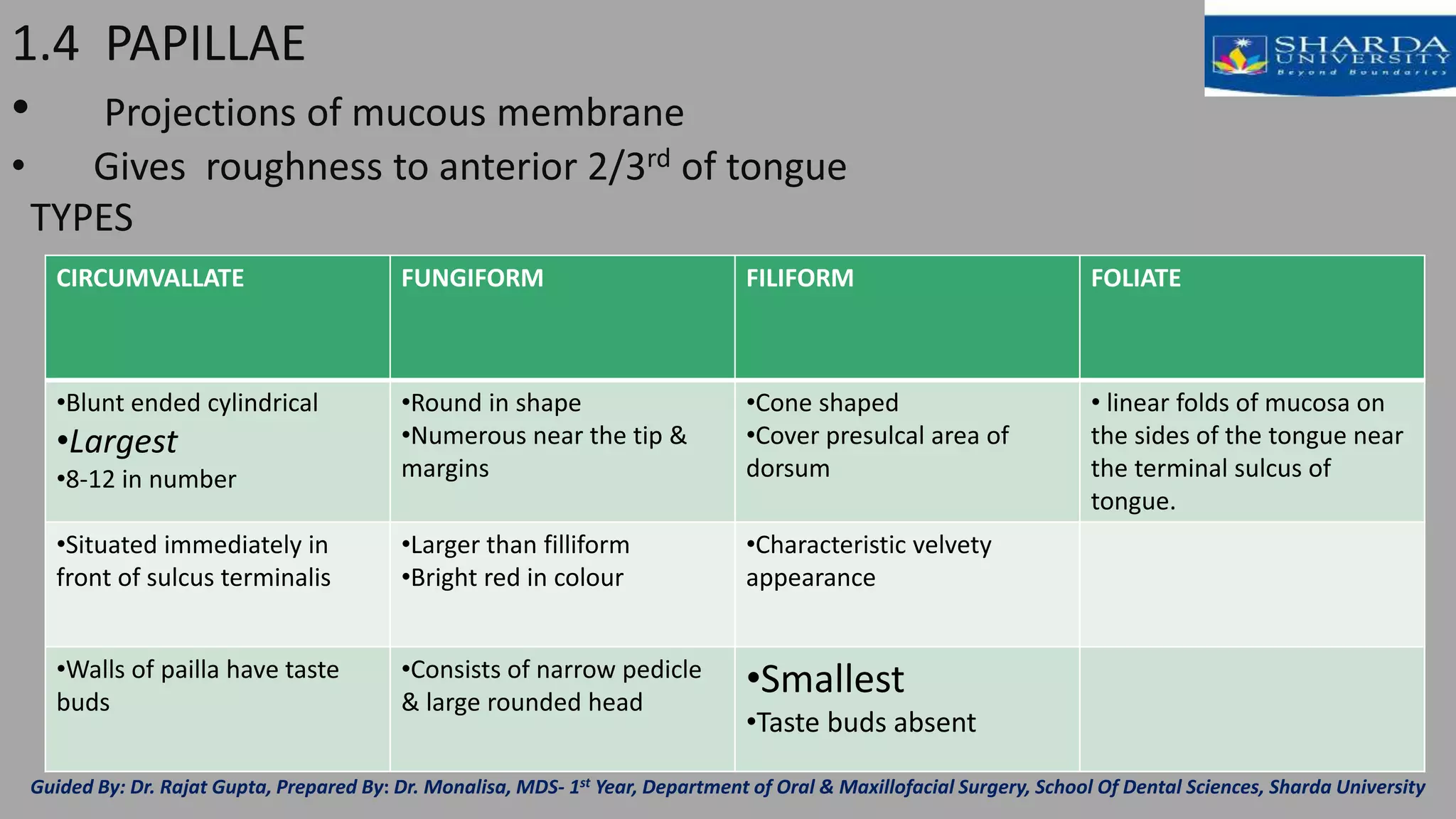 Surgical Anatomy of Tongue.pptx