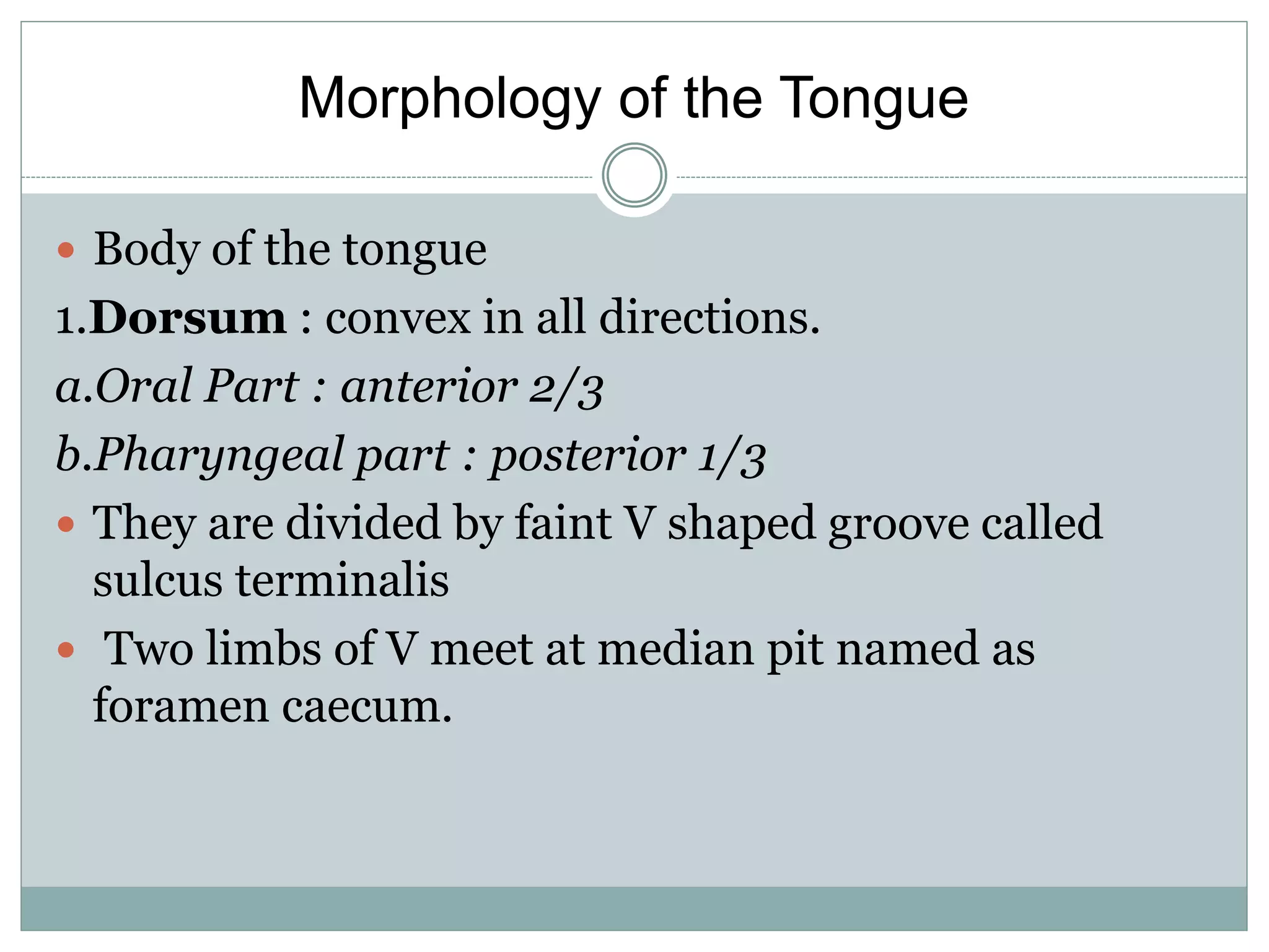 Surgical anatomy of tongue | PPTX