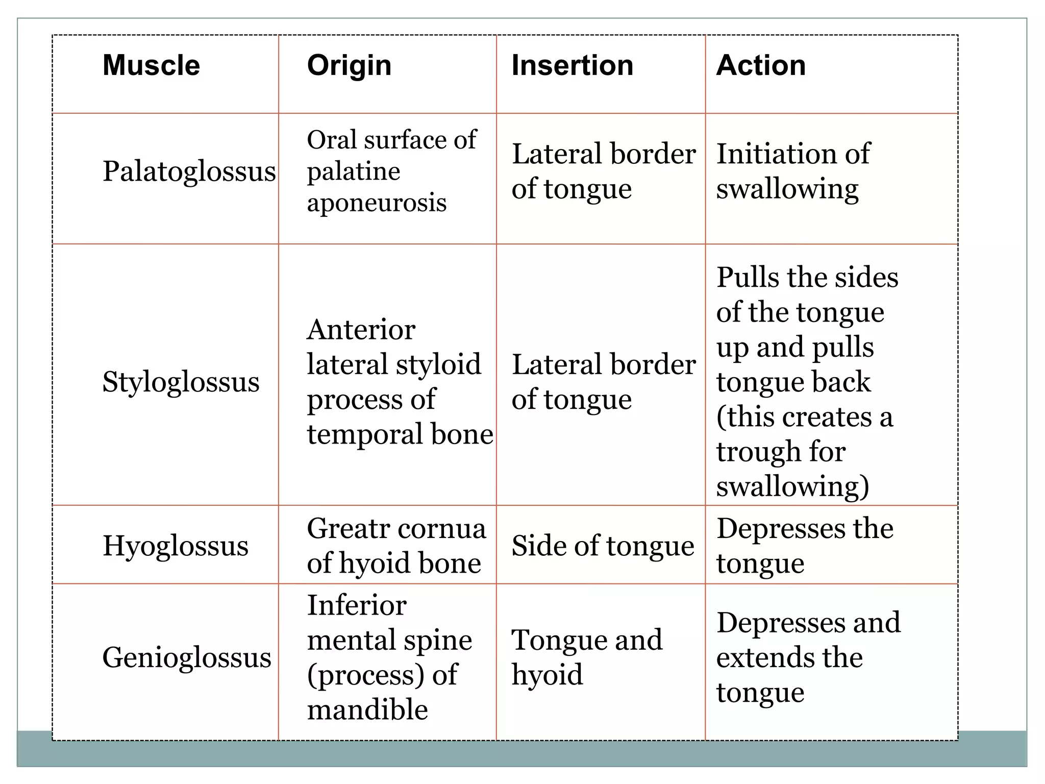 Surgical anatomy of tongue | PPTX