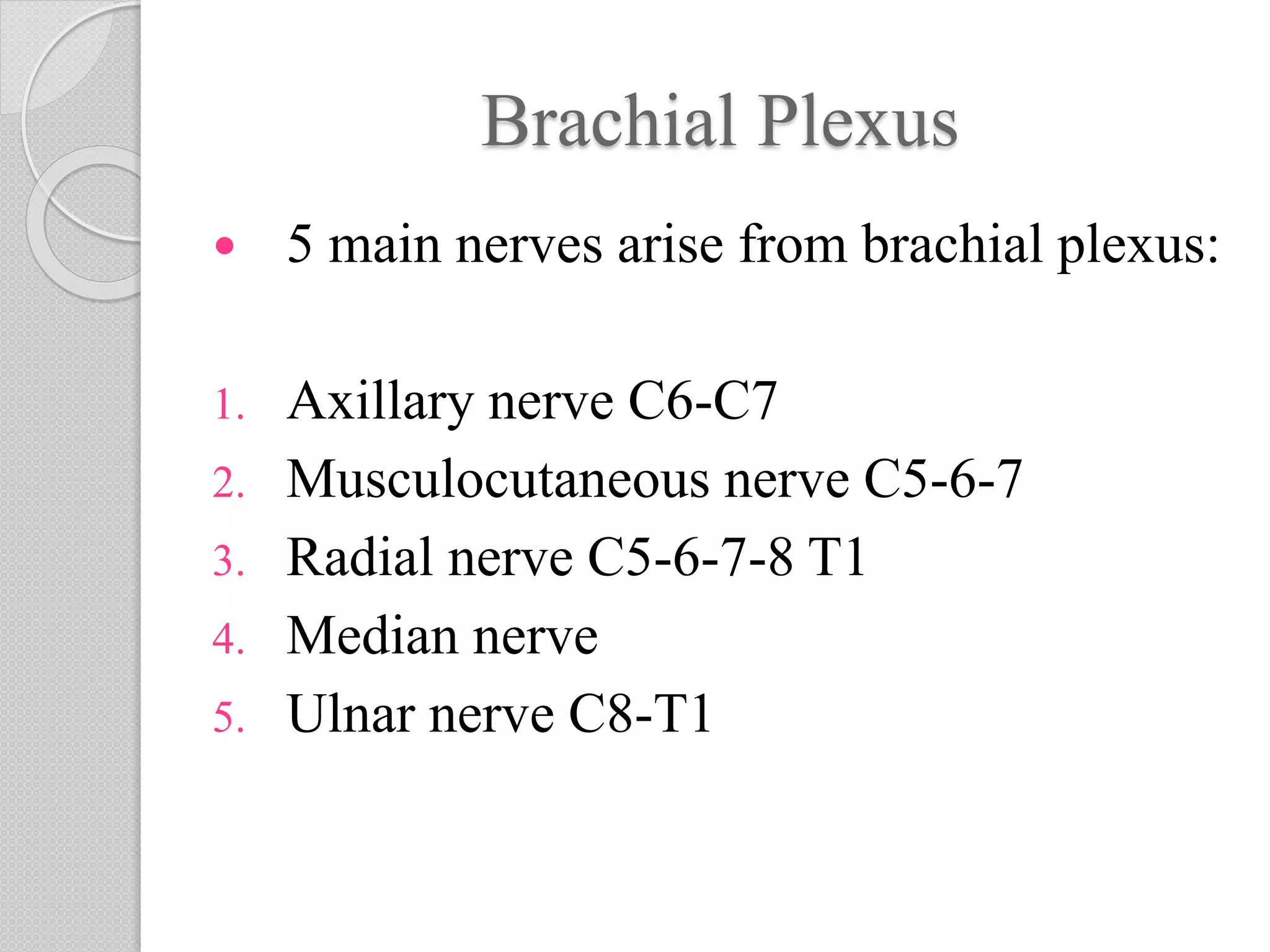 Surgical anatomy of upper limb nerves and plexus | PPTX